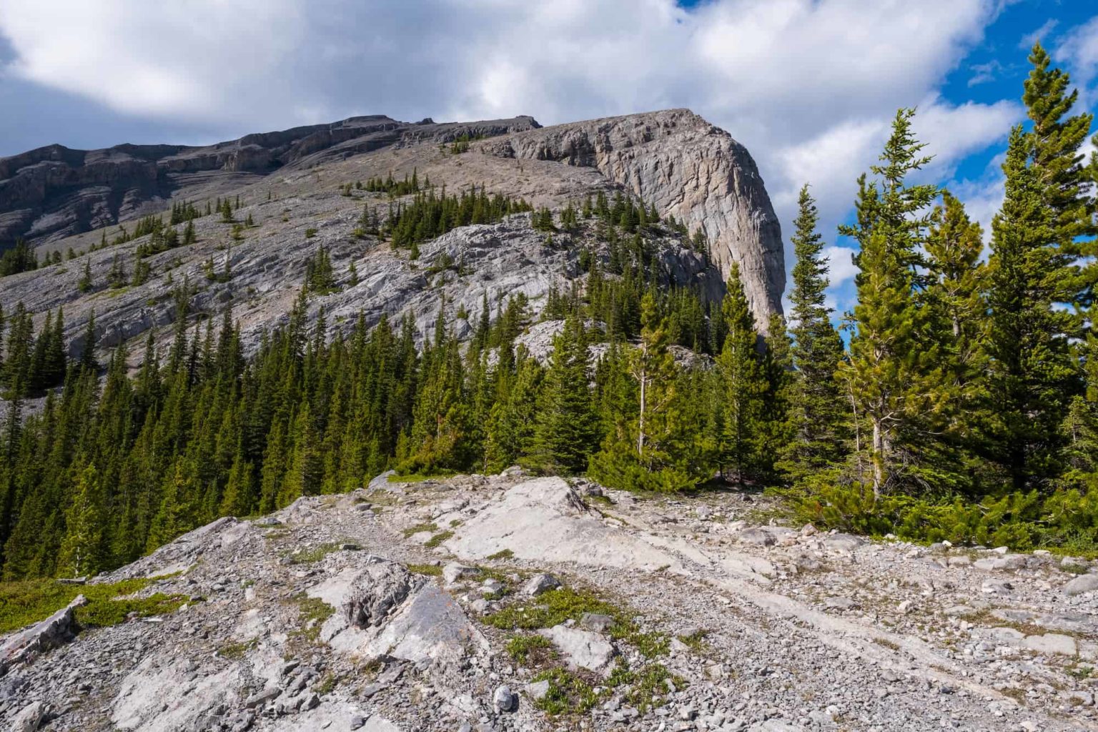 How to Hike the East End of Rundle (EEOR) in Canmore