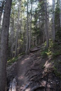 How to Hike the East End of Rundle (EEOR) in Canmore