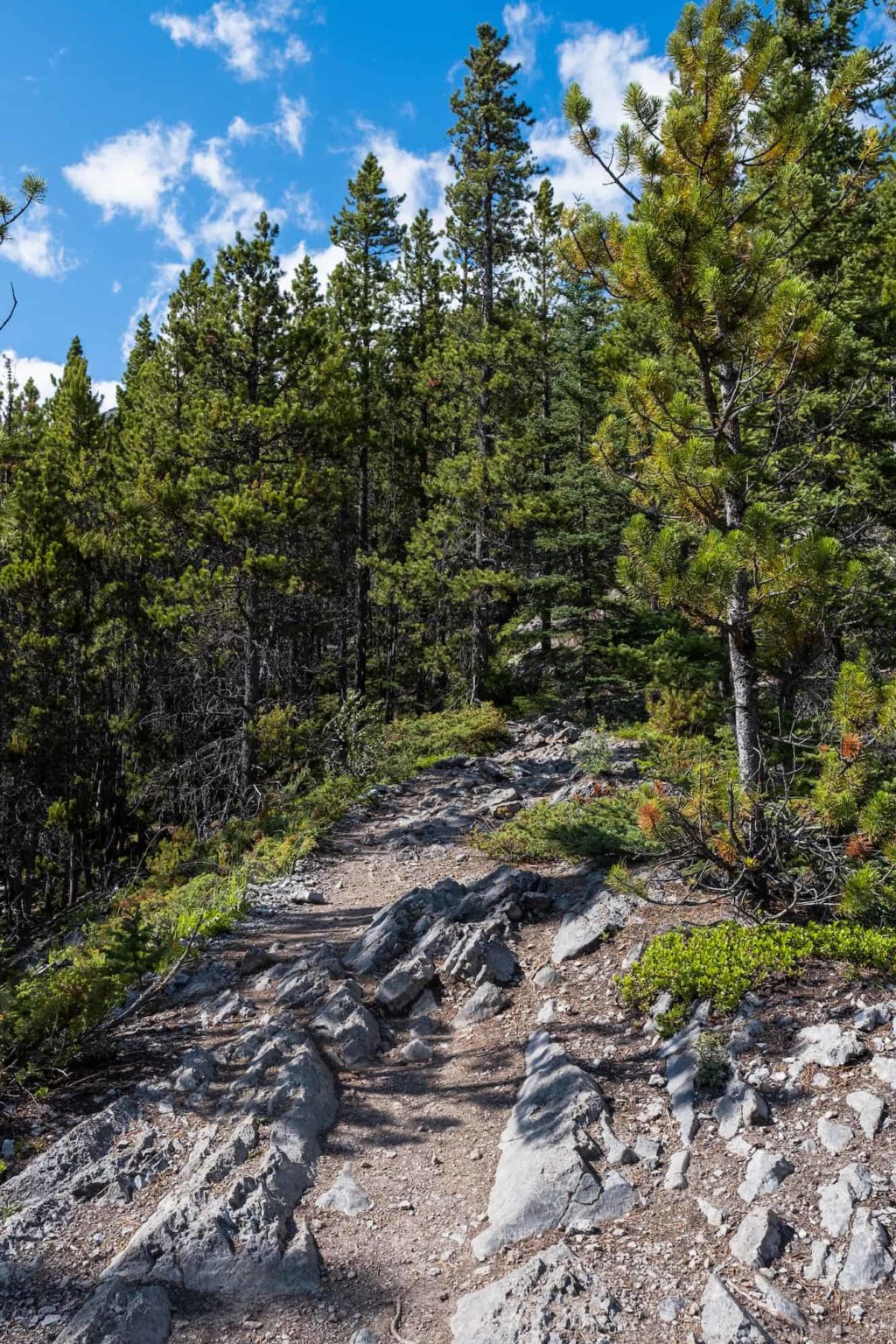 How to Hike the East End of Rundle (EEOR) in Canmore