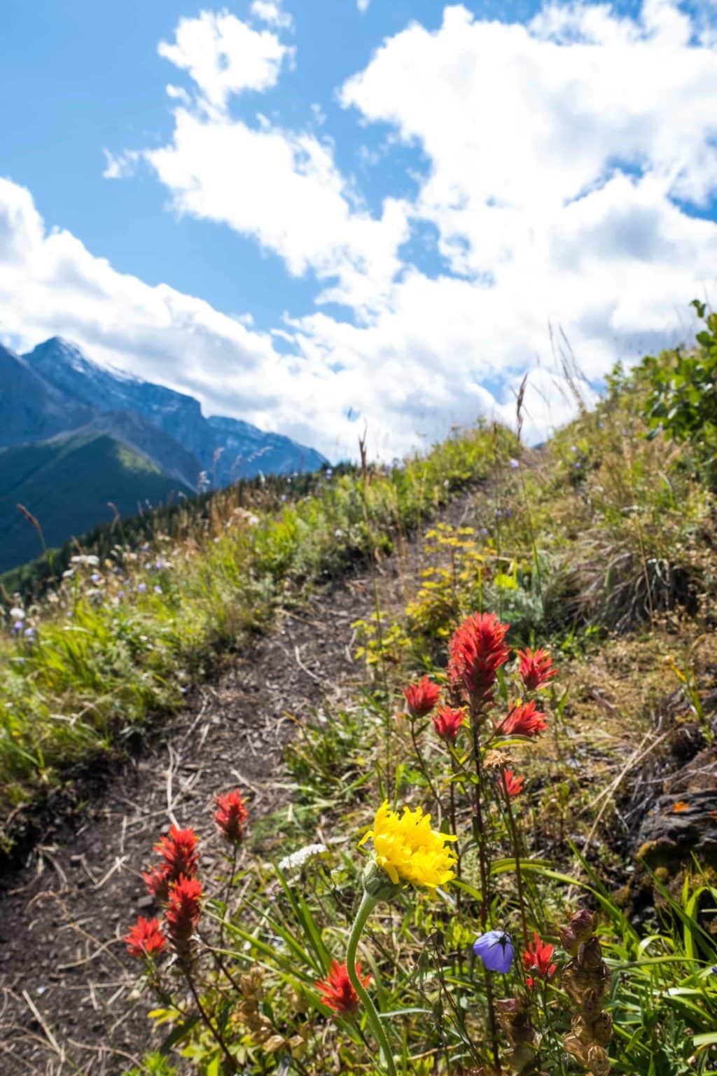 How To Hike Mount Allan in Kananaskis Country