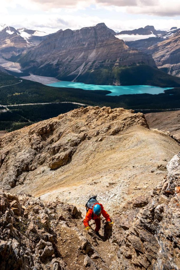 20 Things to Know BEFORE Visiting Peyto Lake