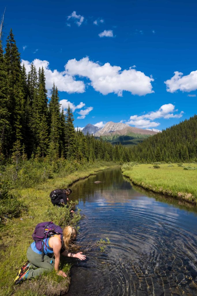 How to Hike Smutwood Peak in Kananaskis Country