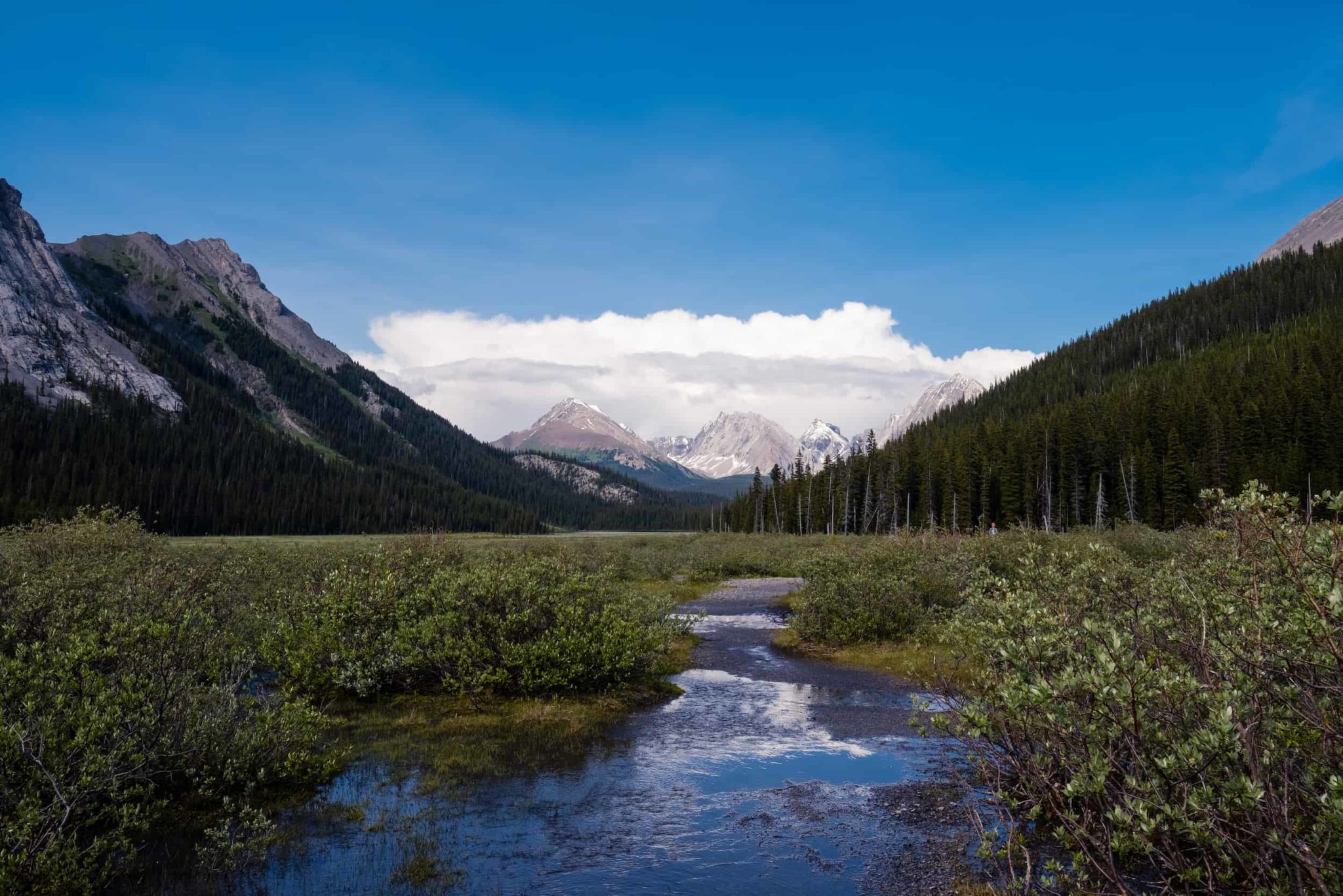 How to Hike Burstall Pass in Kananaskis Country