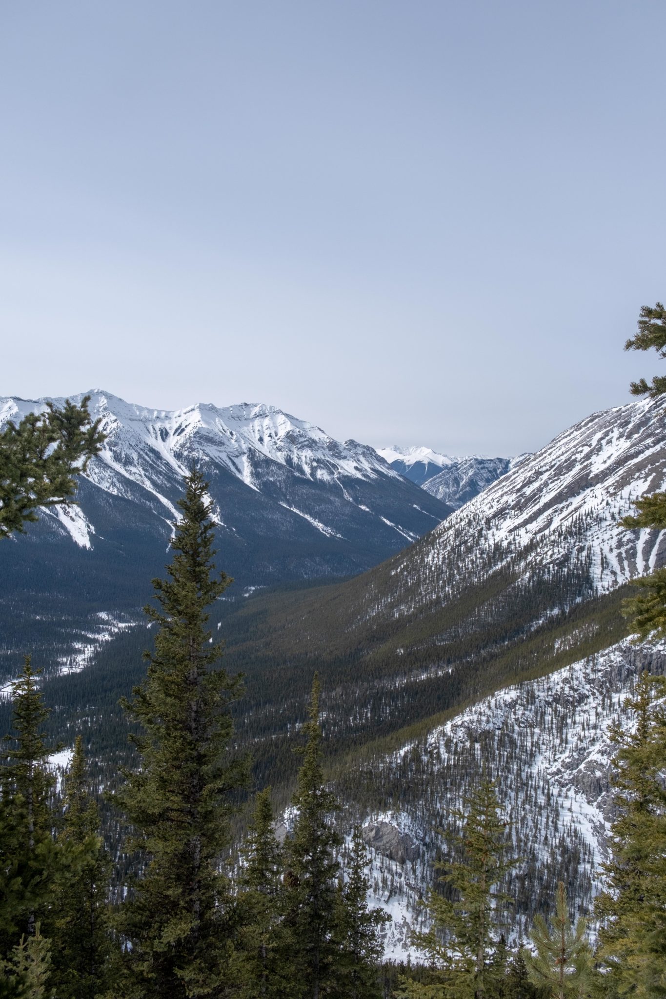 Ha Ling Peak: How to Hike This Canmore CLASSIC