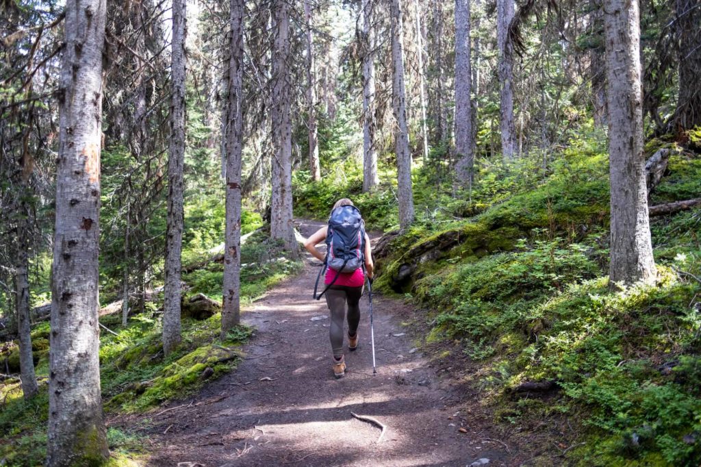 How to Hike Sarrail Ridge Via Rawson Lake in Kananaskis