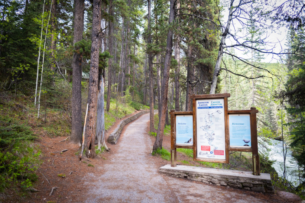 Johnston Canyon Hike: All About Banff's Most POPULAR Trail