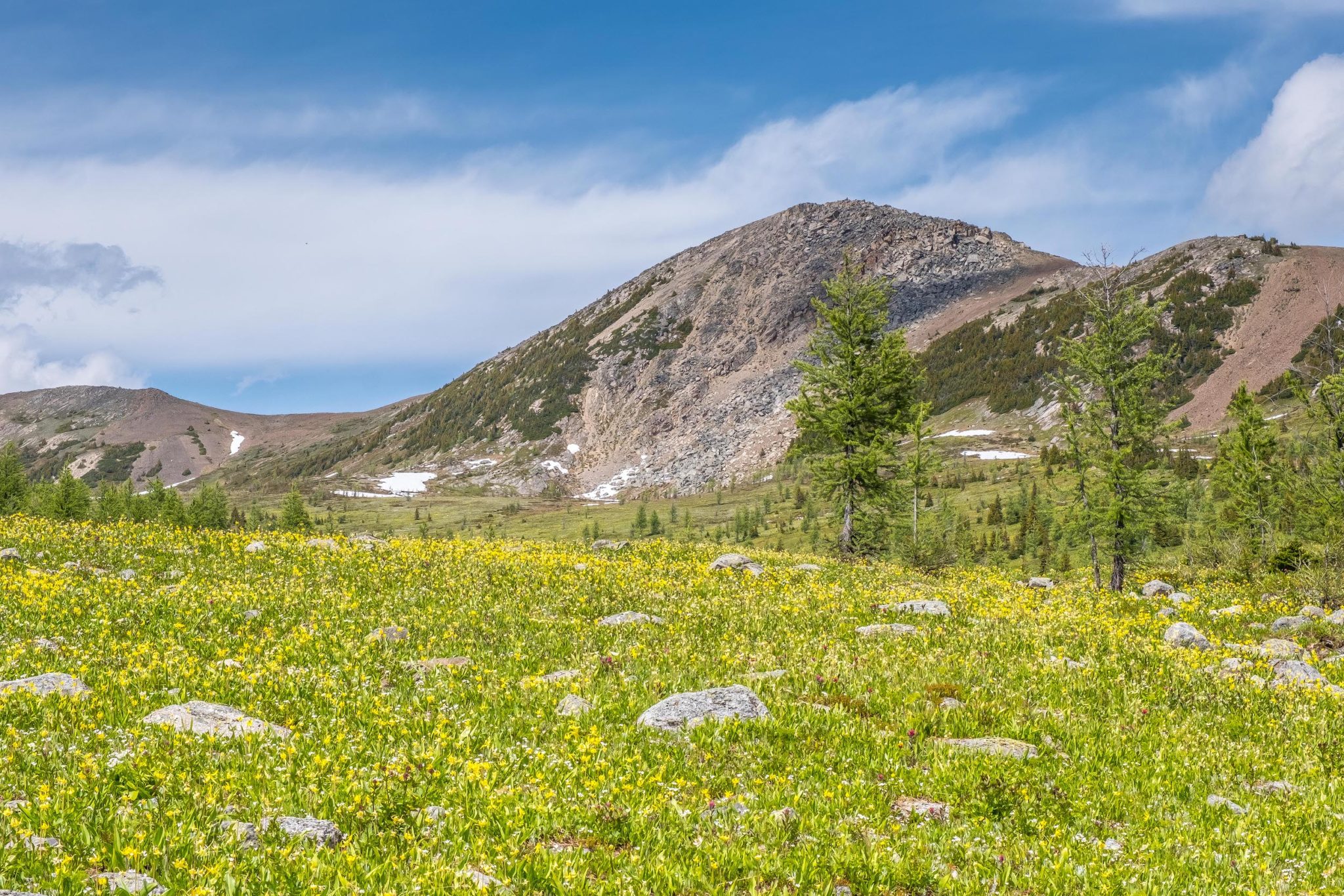 The Healy Pass Trail Hike Guide - The Banff Blog