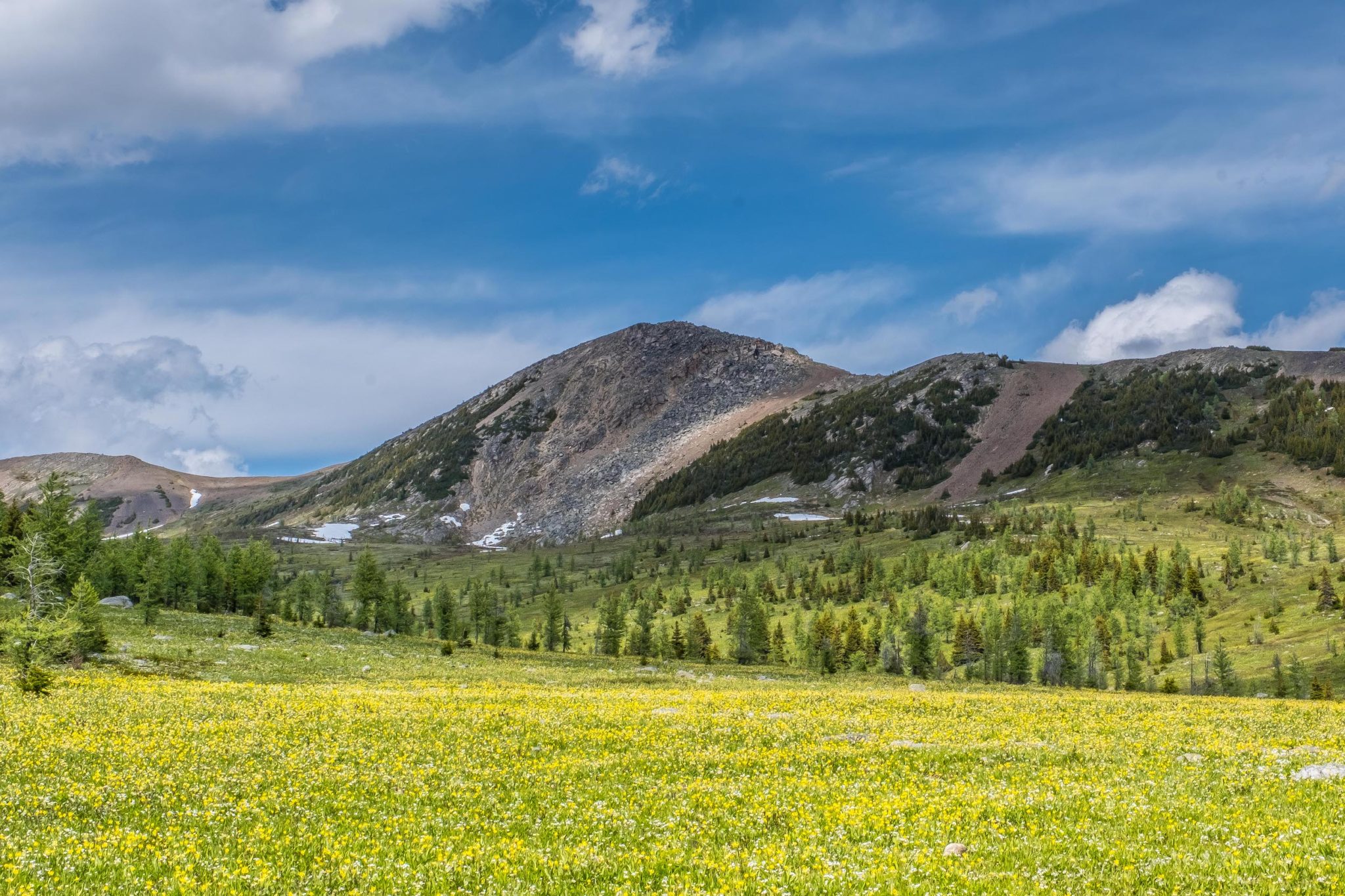 Healy Pass Trail Hike Guide (Banff): All You NEED to Know