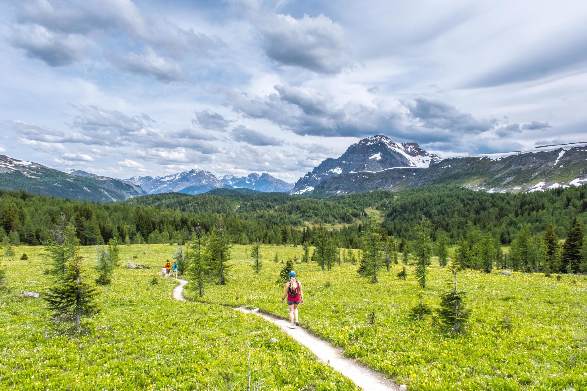 The Healy Pass Trail Hike Guide - The Banff Blog