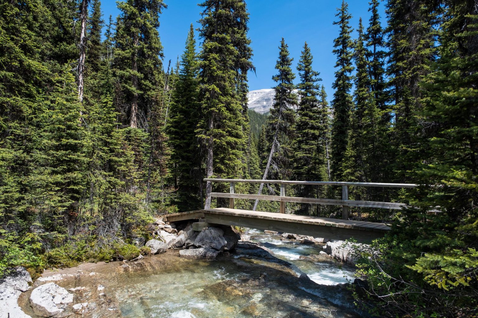 Healy Pass Trail Hike Guide (Banff): All You NEED to Know