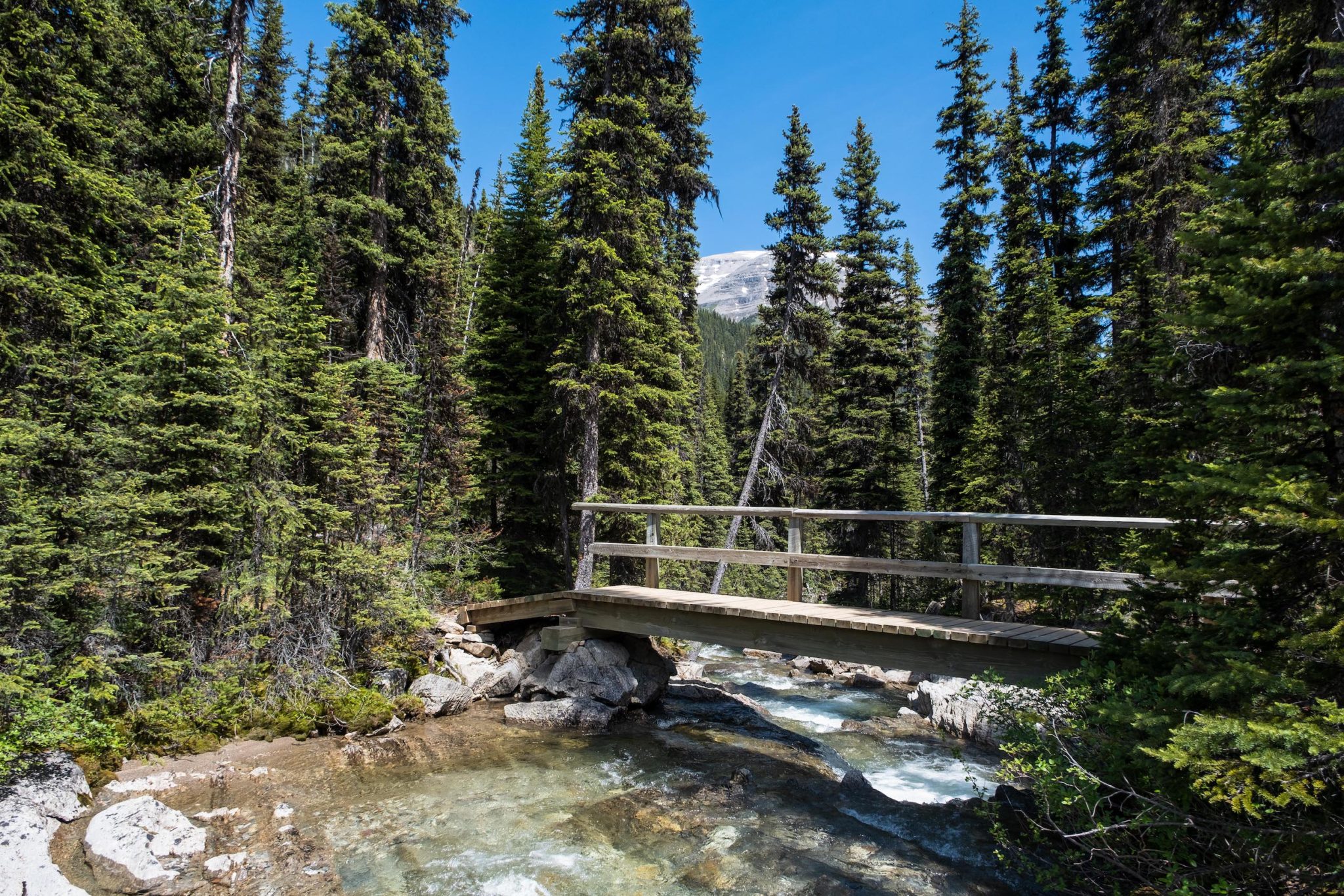 Healy Pass Trail Hike Guide (Banff): All You NEED to Know