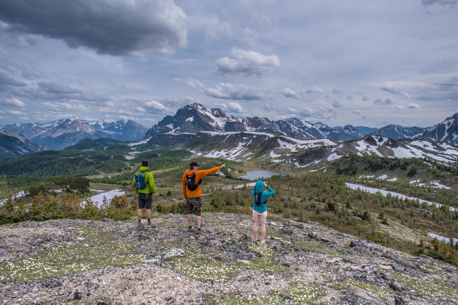 Healy Pass Trail Hike Guide (Banff): All You NEED to Know