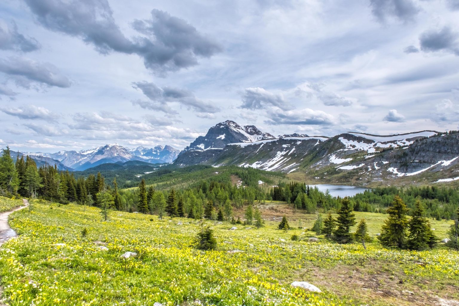 Healy Pass Trail Hike Guide (Banff): All You NEED to Know