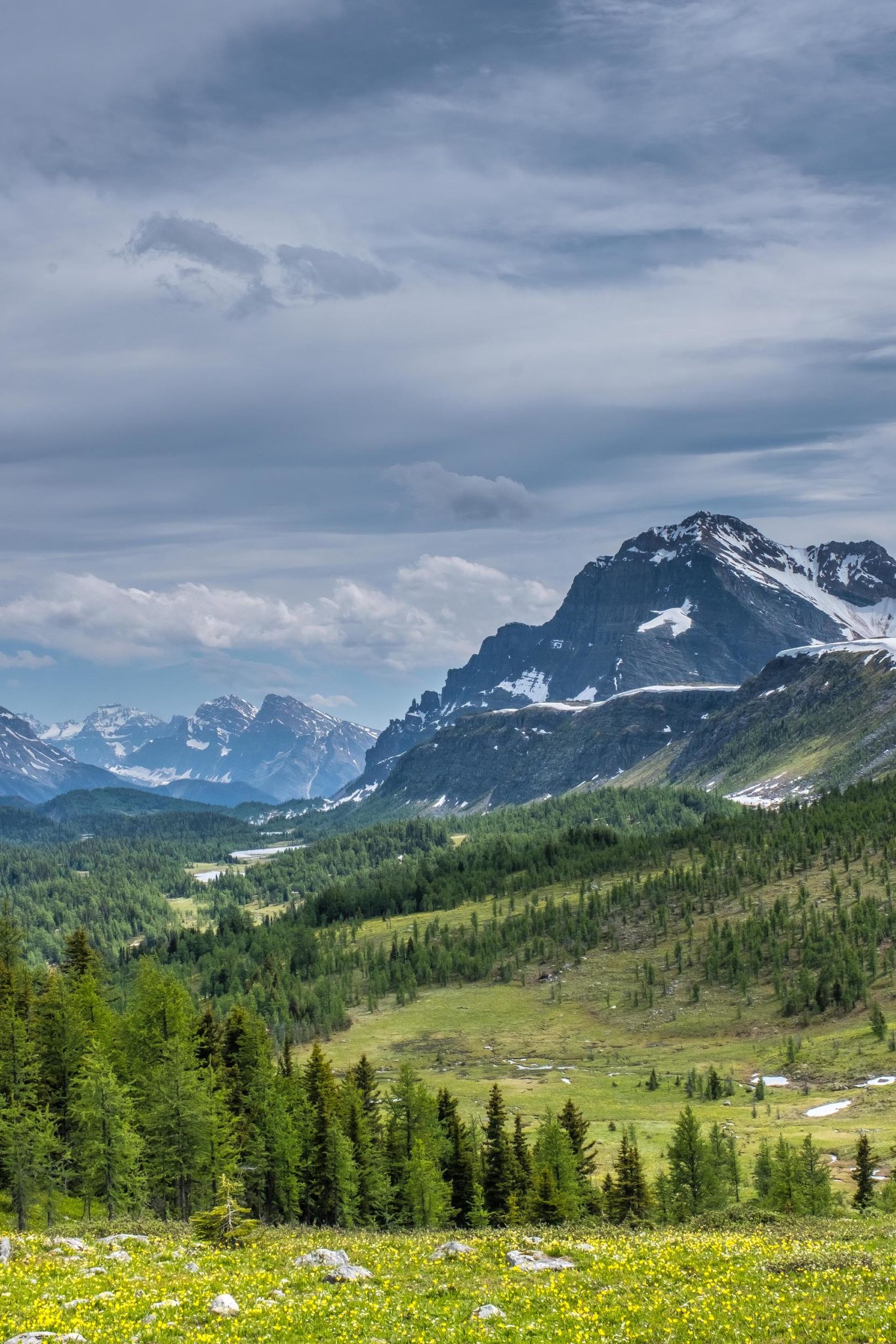 Healy Pass Trail Hike Guide (Banff): All You NEED to Know