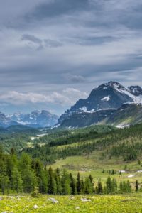 Healy Pass Trail Hike Guide (Banff): All You NEED to Know