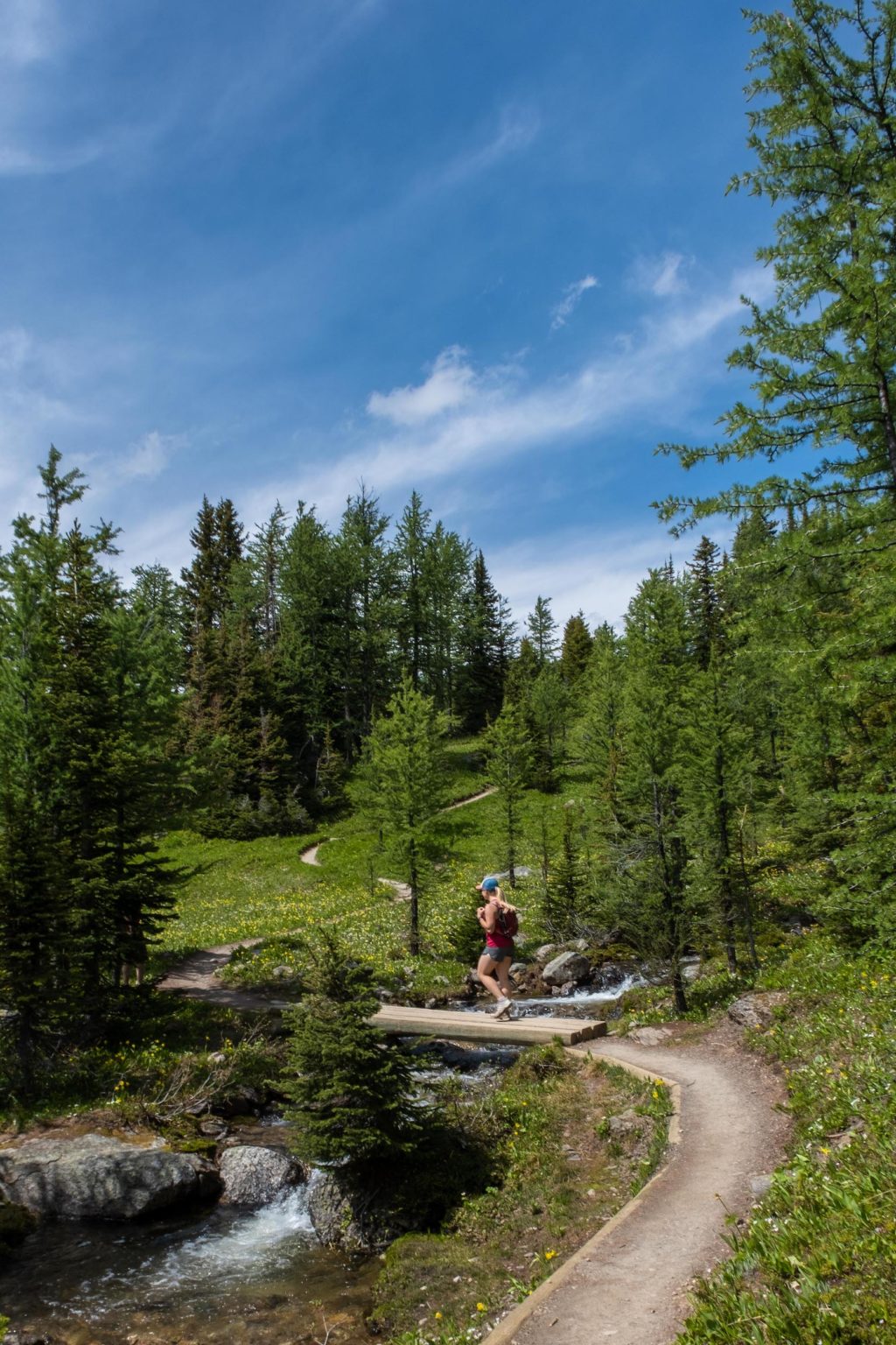 Healy Pass Trail Hike Guide (Banff): All You NEED to Know