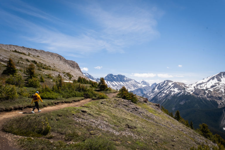 How to Hike Parker Ridge Trail On the Icefields Parkway