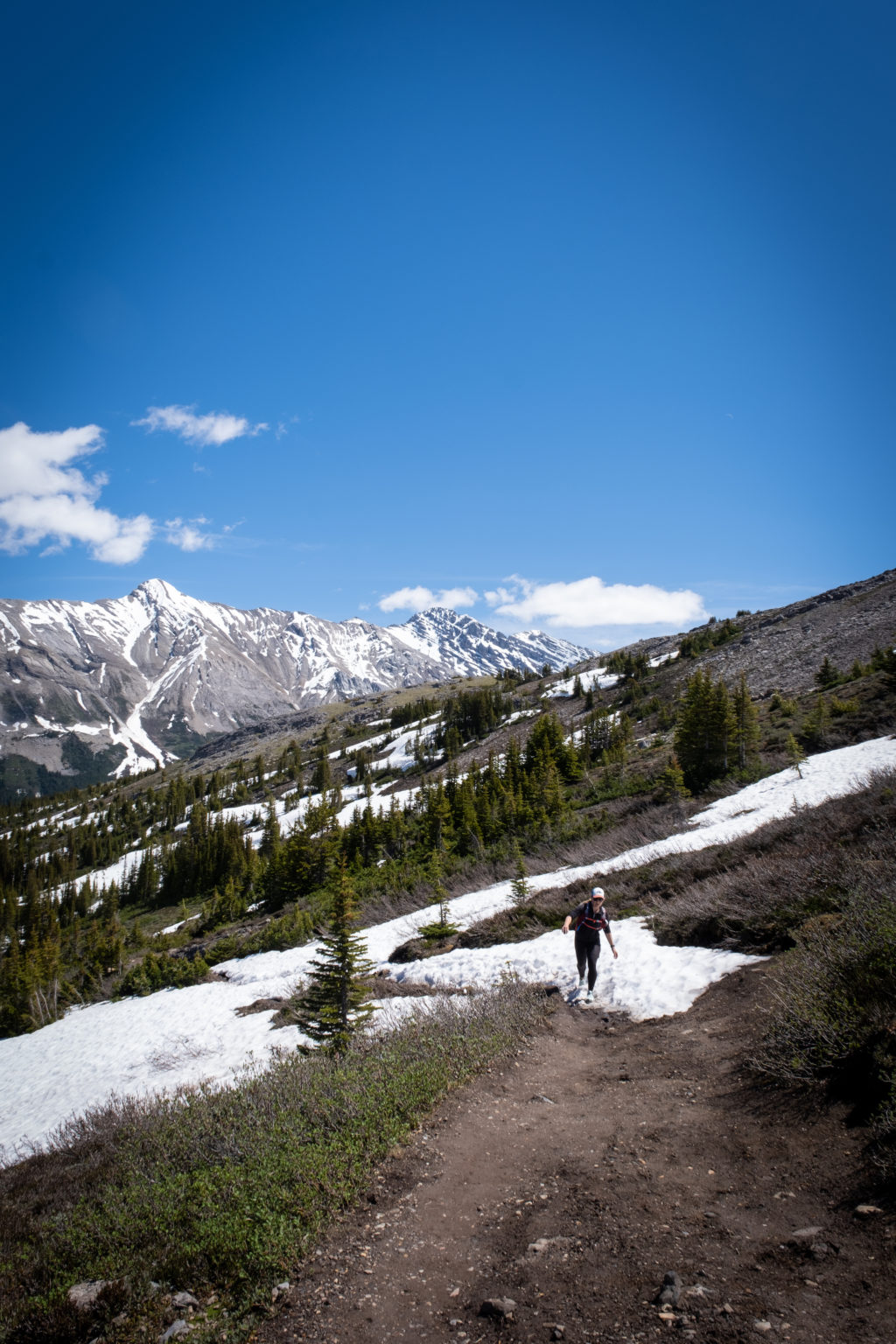How to Hike Parker Ridge Trail On the Icefields Parkway