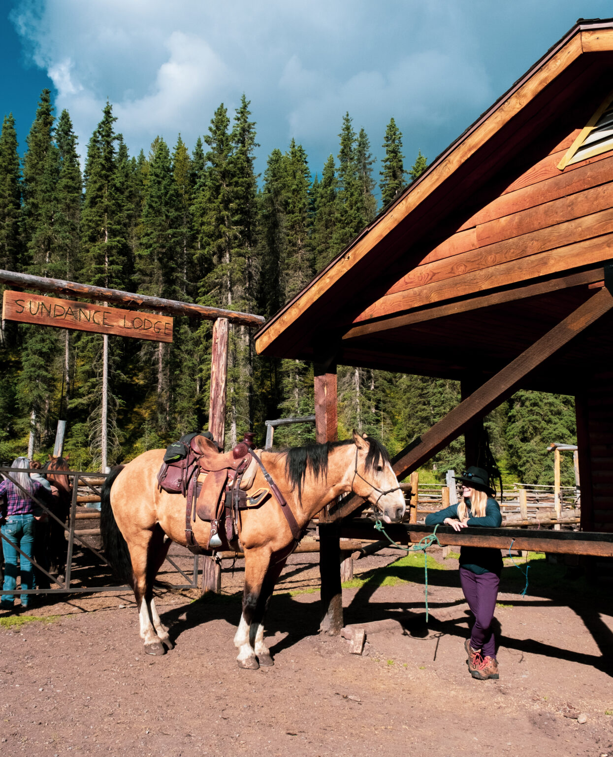 Backcountry Horse Riding in Banff With Banff Trail Riders