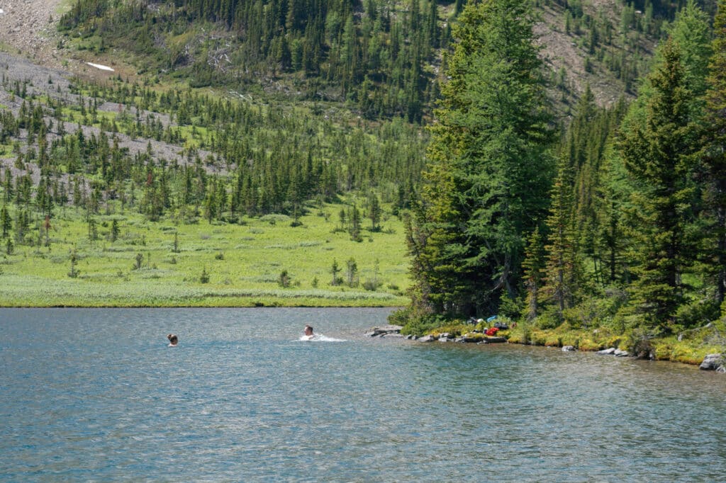 Backcountry Horse Riding in Banff With Banff Trail Riders