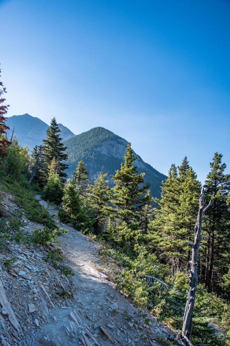 How to Hike the Thrilling Crypt Lake Trail in Waterton National Park ...