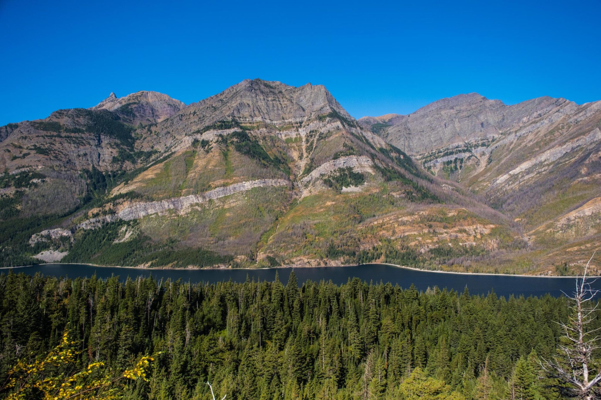 How to Hike the Crypt Lake Trail in Waterton National Park