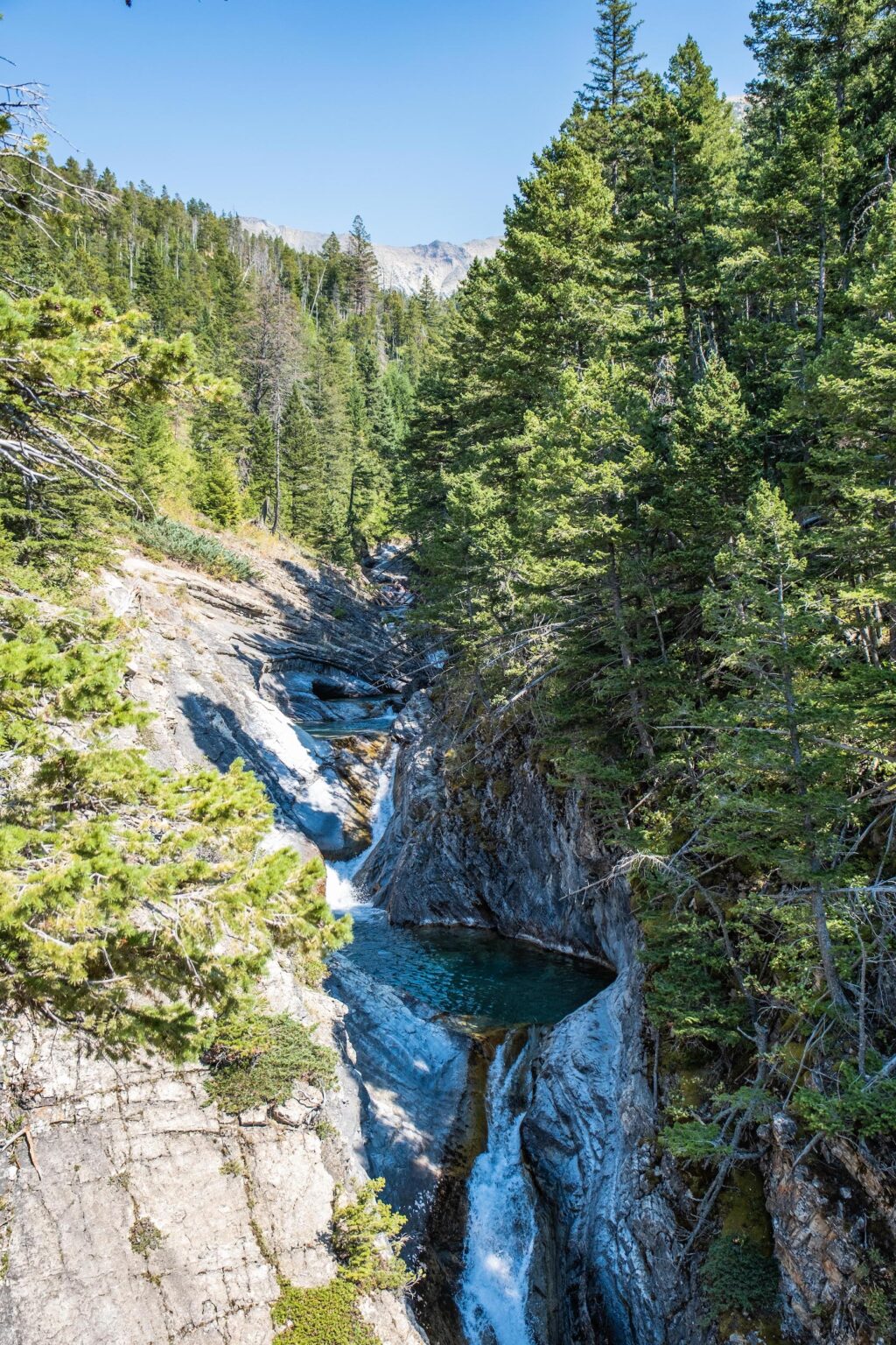 How to Hike the Crypt Lake Trail in Waterton National Park