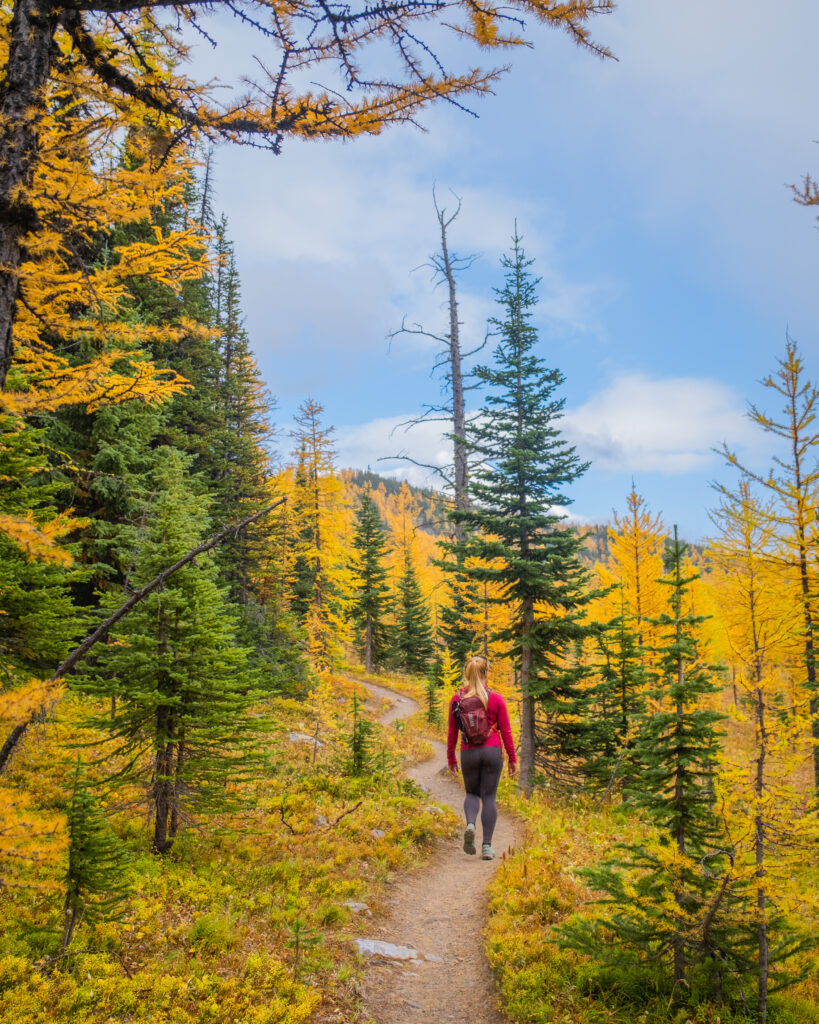 35 AMAZING Banff Hikes and Trails to Enjoy