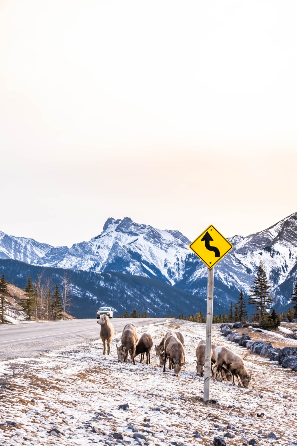 Visiting Banff in November? Here’s All You NEED to Know