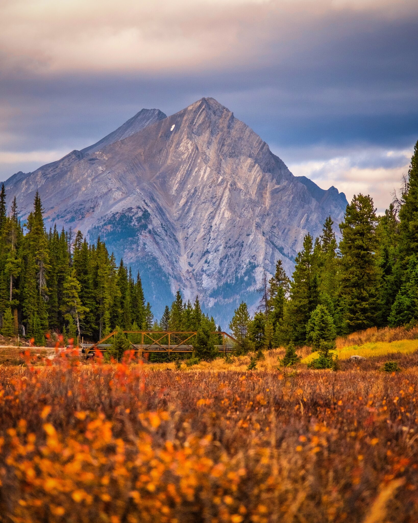 Mount Engadine Lodge Review: Glamping in Kananaskis