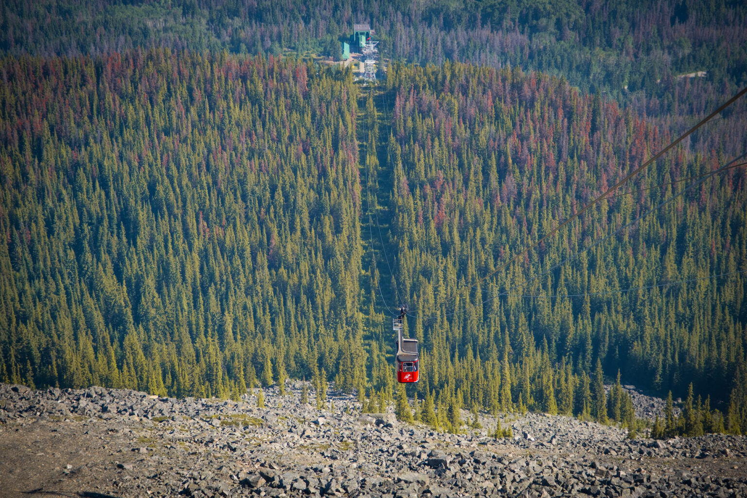 Jasper Skytram: All You NEED to Know About the Gondola (2023)