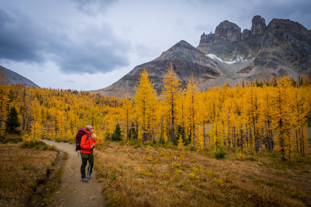 33 BEST Places to Visit in BC (British Columbia)