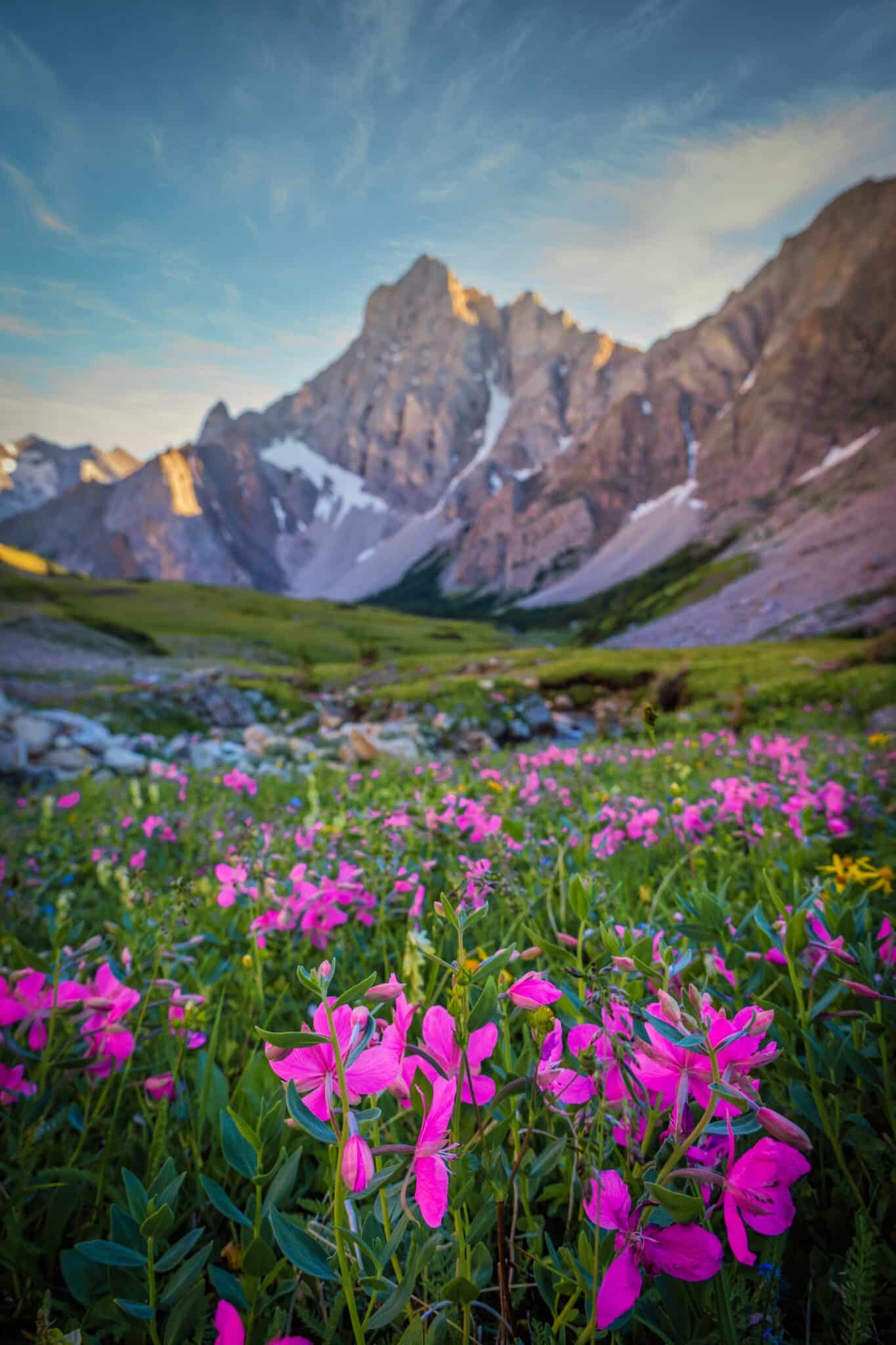 Visiting Banff in July? Here's All You Need to Know