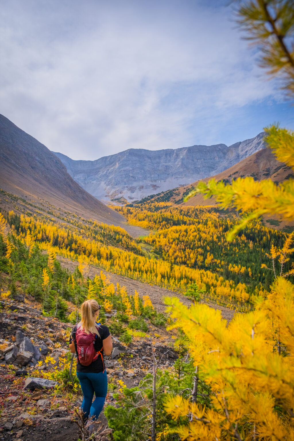 24 UNREAL Alberta Larch Hikes (With Photos!)