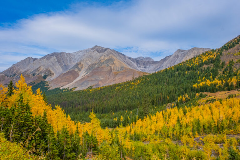 Pocaterra Ridge Hike in Kananaskis - All You NEED to Know