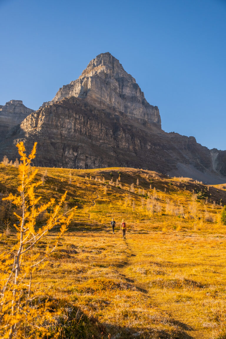Sentinel Pass Hike Via Larch Valley: All You NEED To Know