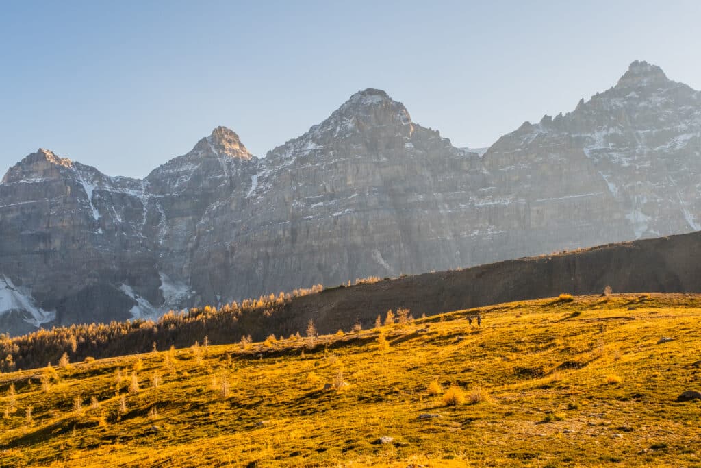 Sentinel Pass Hike Via Larch Valley: All You NEED To Know