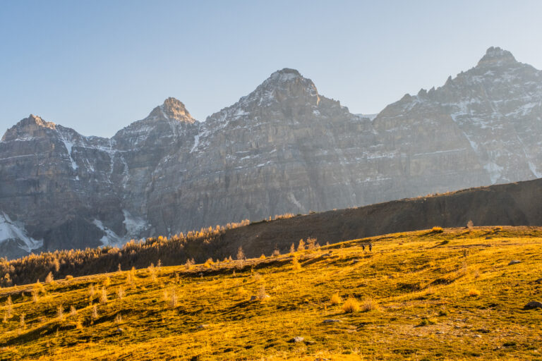 Sentinel Pass Hike Via Larch Valley: All You NEED To Know