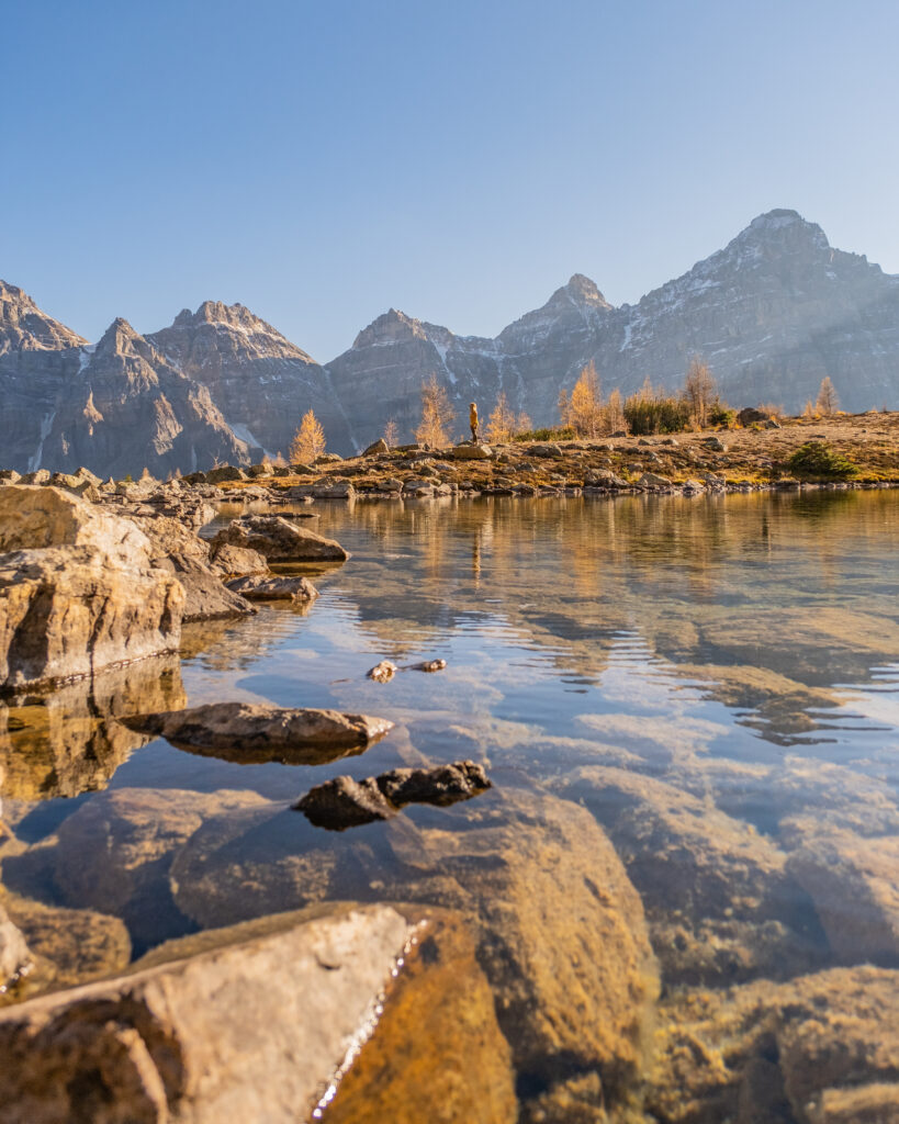 Sentinel Pass Hike Via Larch Valley: All You NEED To Know