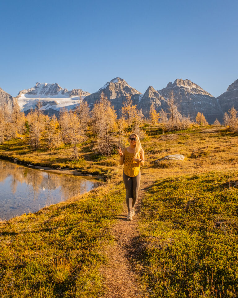 Sentinel Pass Hike Via Larch Valley: All You NEED To Know