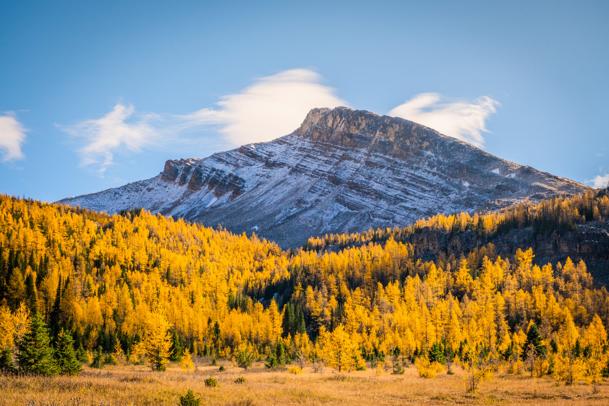 10 Best Larch Hikes to Enjoy Banff in the Fall - The Banff Blog