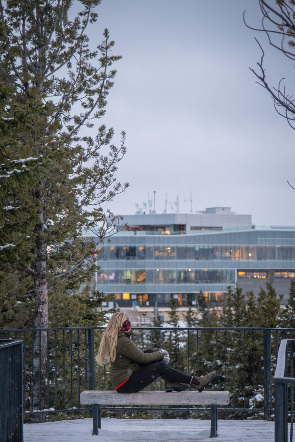 20 Things to Know BEFORE You Ride the Banff Gondola (2023)