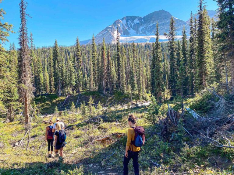 How to Hike the STUNNING Iceline Trail in Yoho