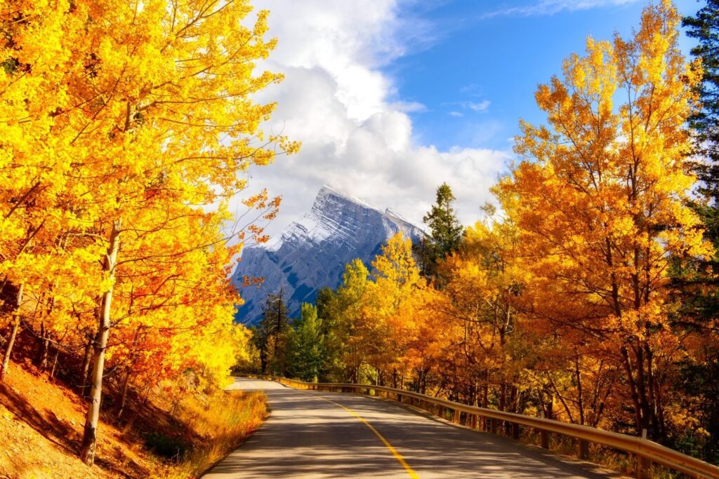 How to Get From CALGARY to BANFF (December 2023)