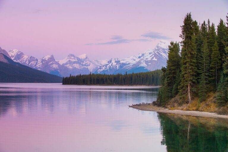 Jasper Skytram: All You NEED to Know About the Gondola (2023)