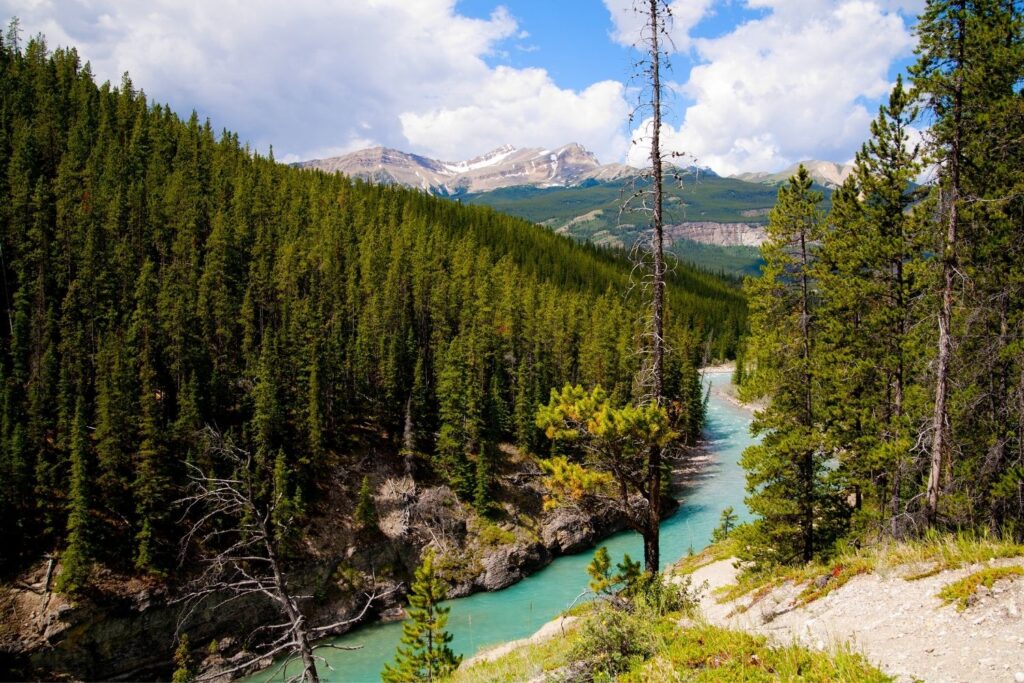 19 BEST Things to Do in Nordegg, Alberta