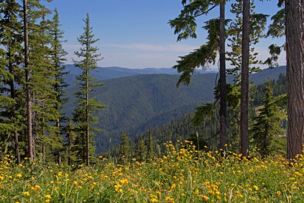 12 BEST Things to do in Nelson, BC - Canada