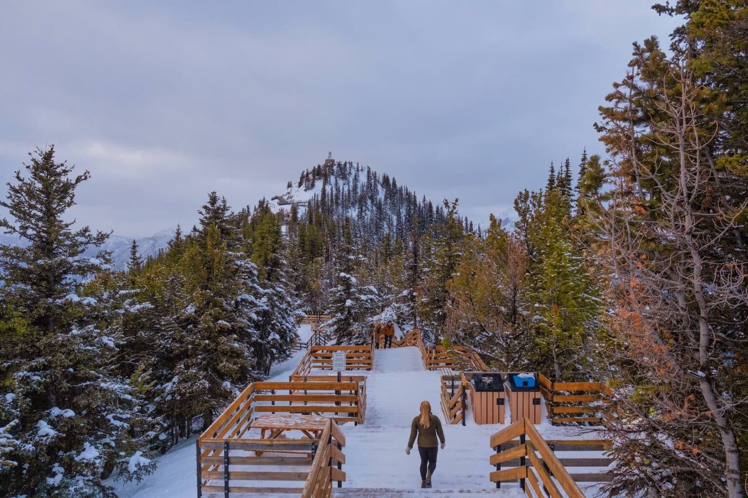 Banff Gondola (Sulphur Mountain Gondola) • Price, Tickets, & Information