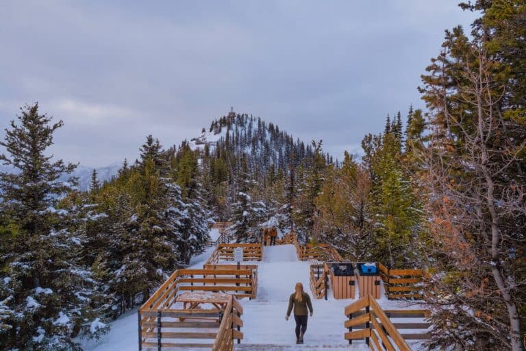 ULTIMATE Banff Gondola Comparison Guide: Which is Best?