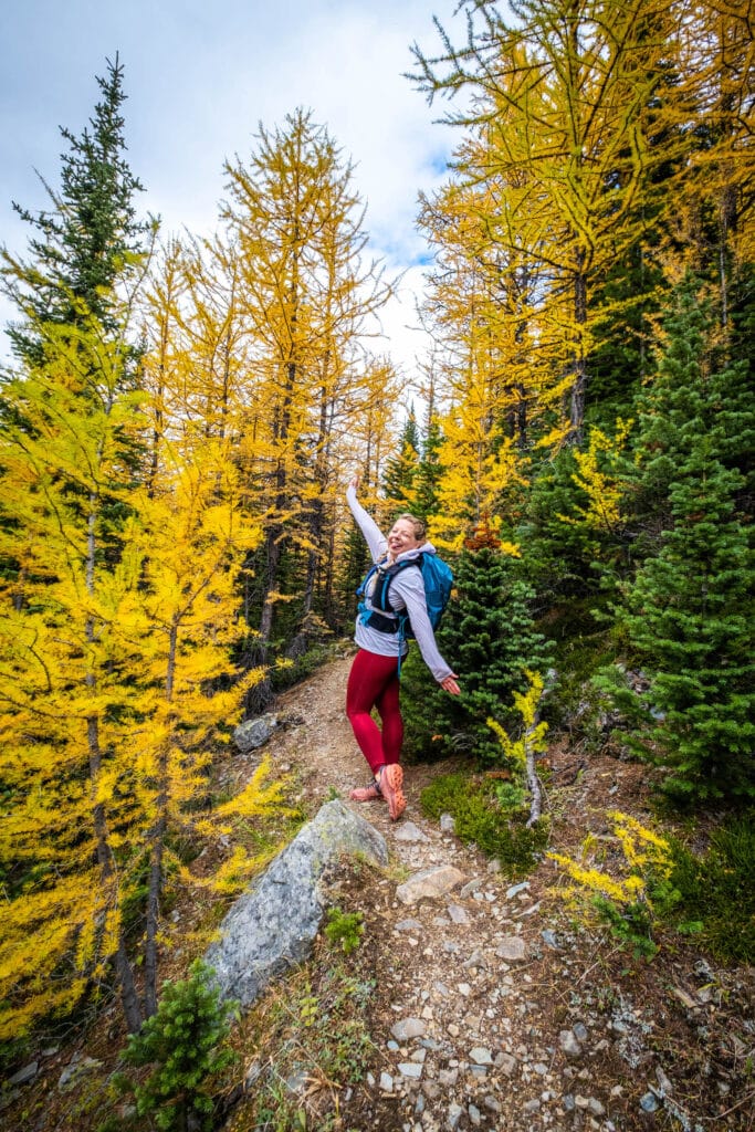22 UNREAL Alberta Larch Hikes (With Photos!)